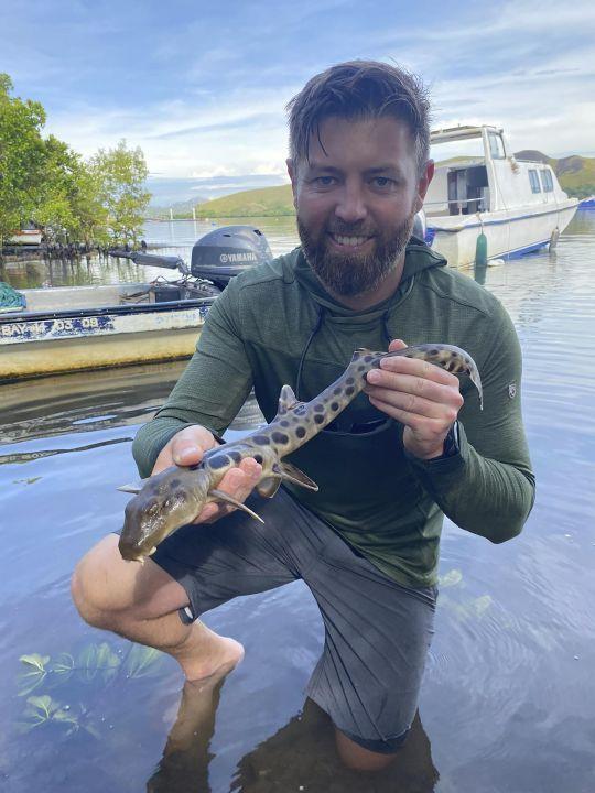 epaulette shark predators